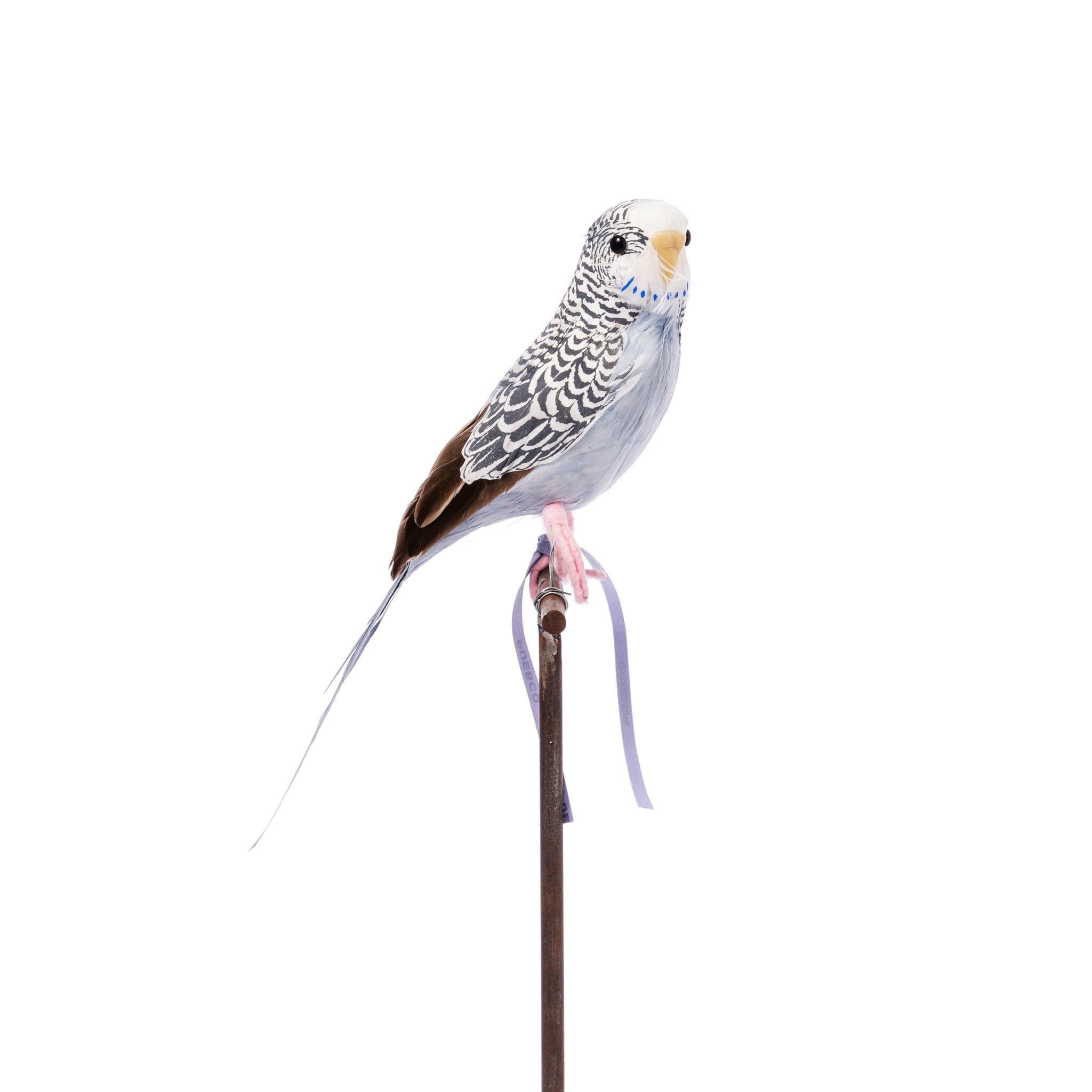 Artificial Bird - Grey Budgie – Puebco Canada